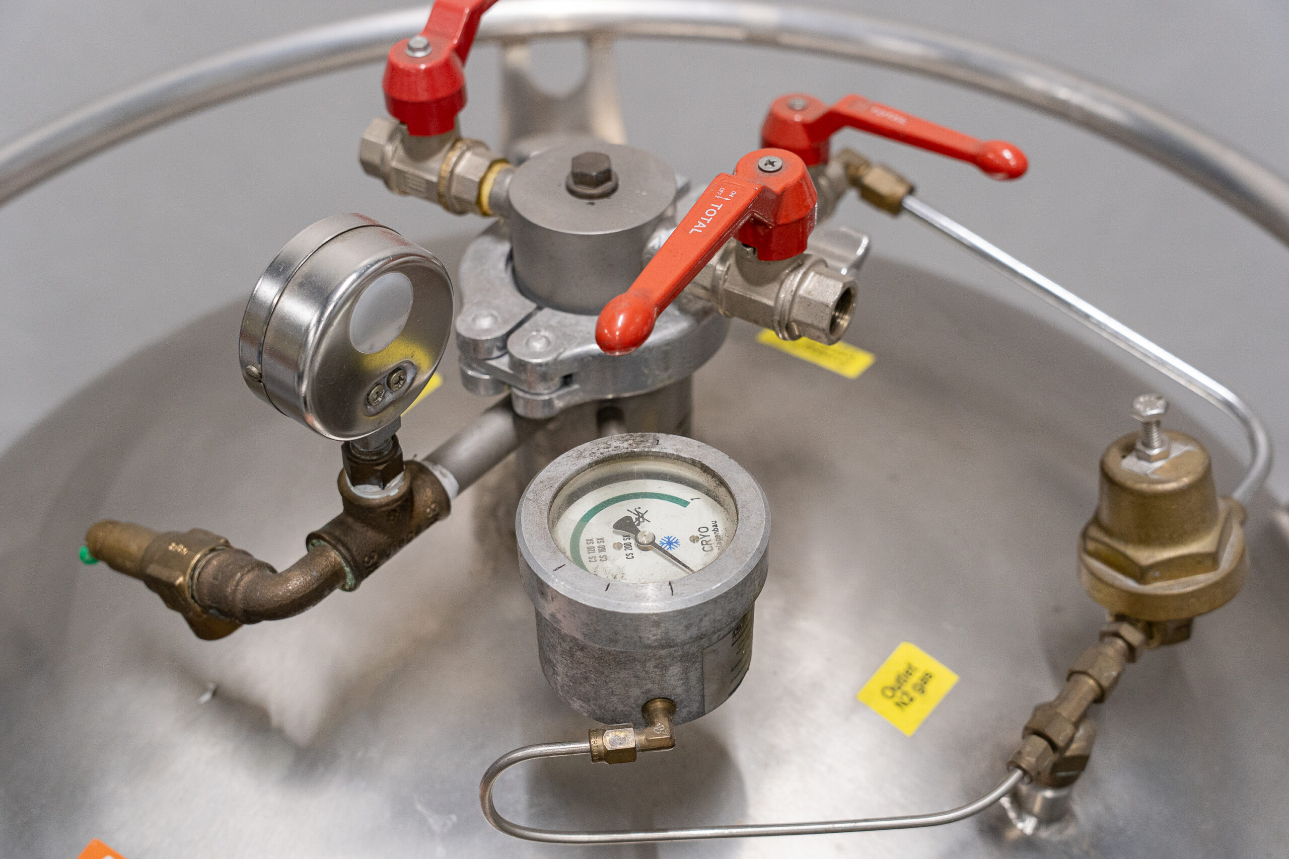 Réservoir d'azote liquide Cryo Solutions CS 200 SK - Gemini BV